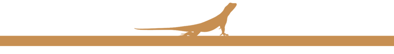 Canadian Pinolite - Gemrock International